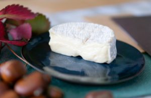 Fromages à pâte molle : caractéristiques et liste des principaux