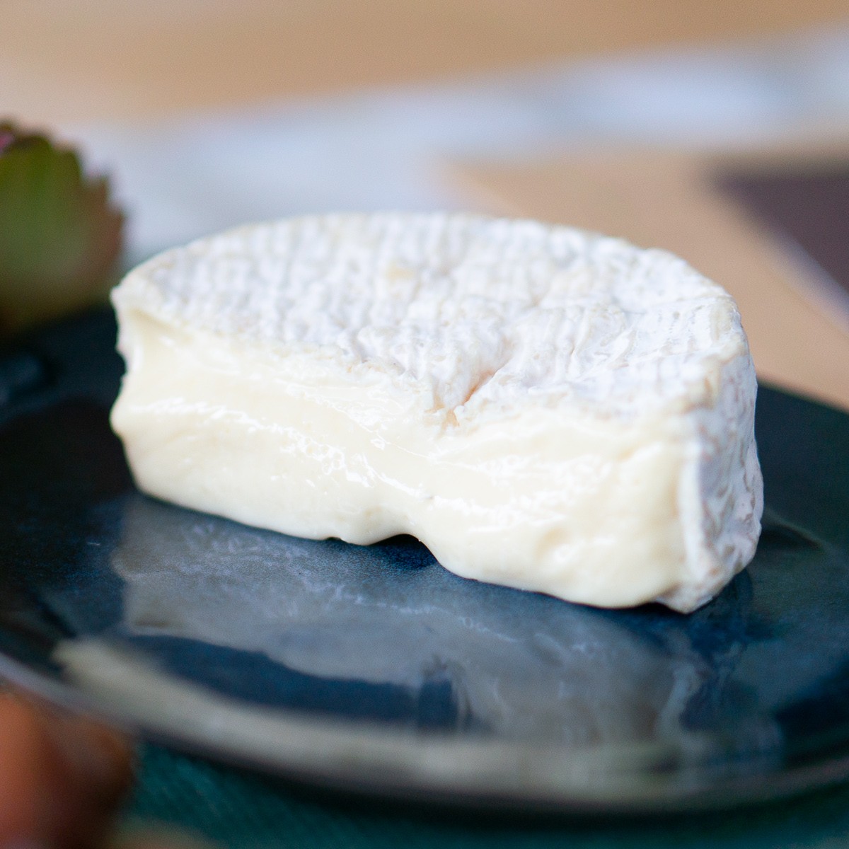 Le Camembert, tout savoir sur une icône fromagère