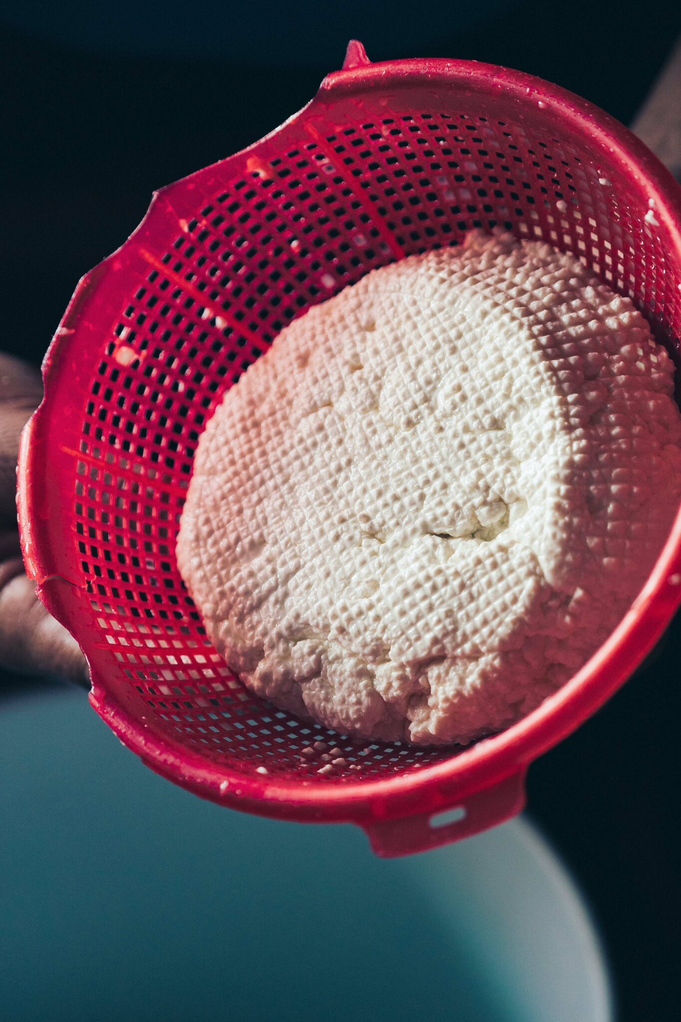 Fromage frais : tout sur le Philadelphia, le petit suisse, la faisselle...